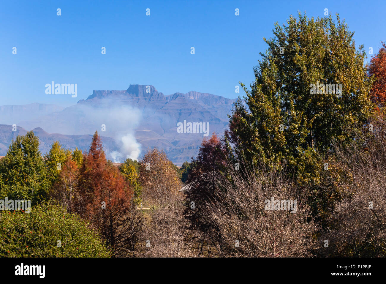 Champagne valley resort hi-res stock photography and images - Alamy
