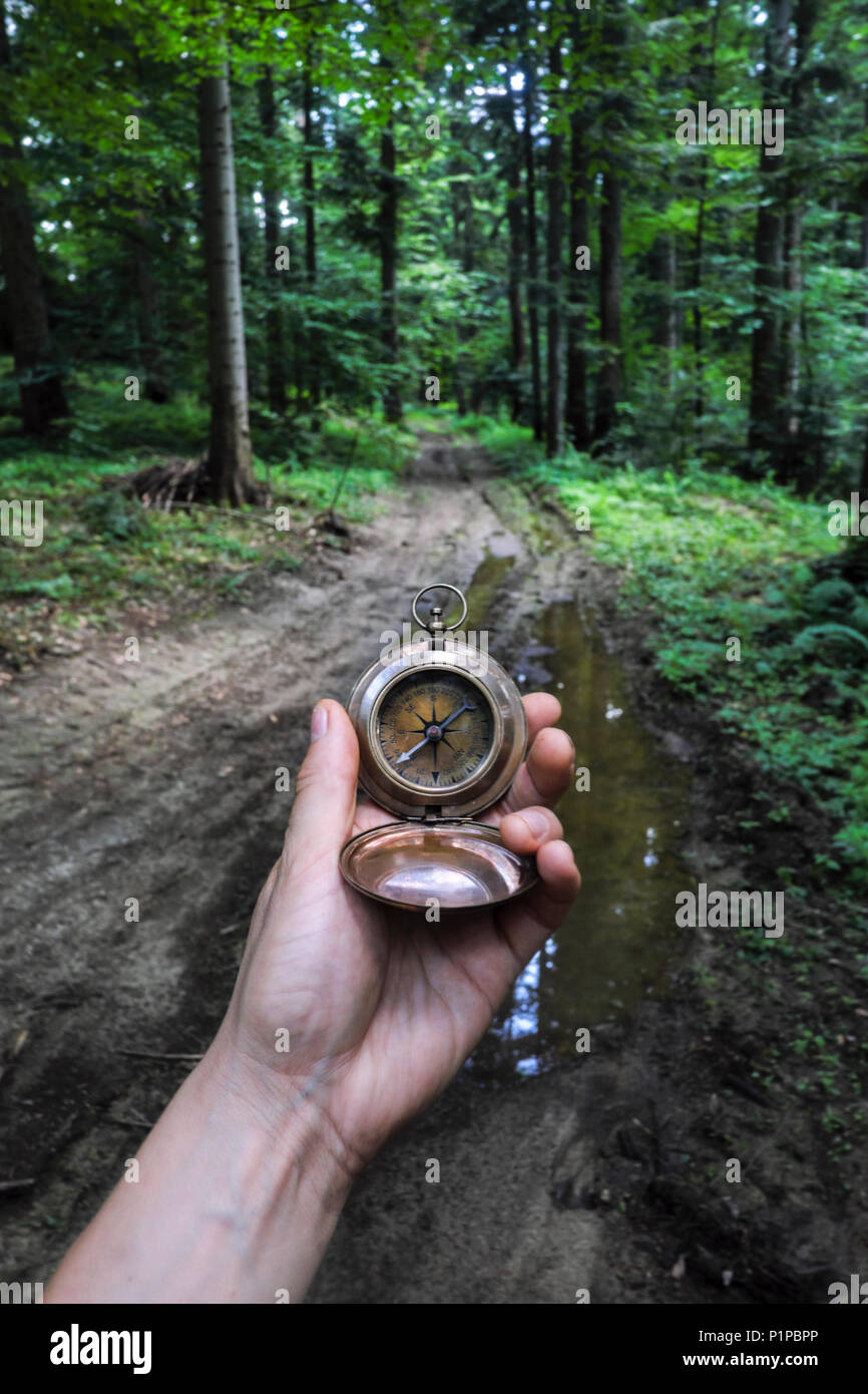 Tree compass hi-res stock photography and images - Alamy