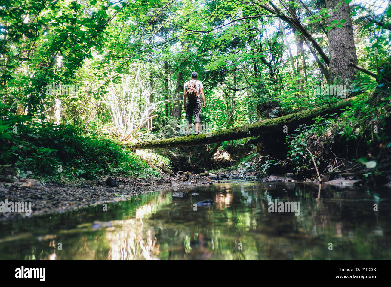 Alone in wilderness hi-res stock photography and images - Alamy