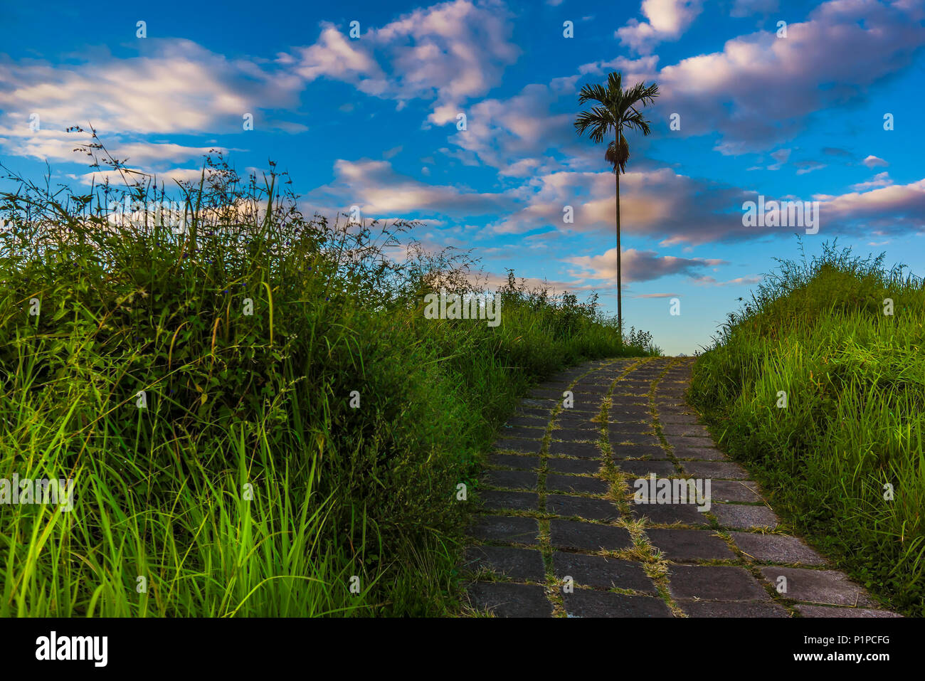Paved pathway hi-res stock photography and images - Alamy