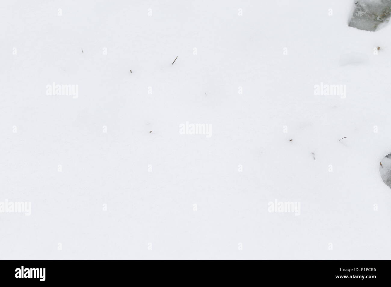 white snow texture and background great for textures Stock Photo - Alamy