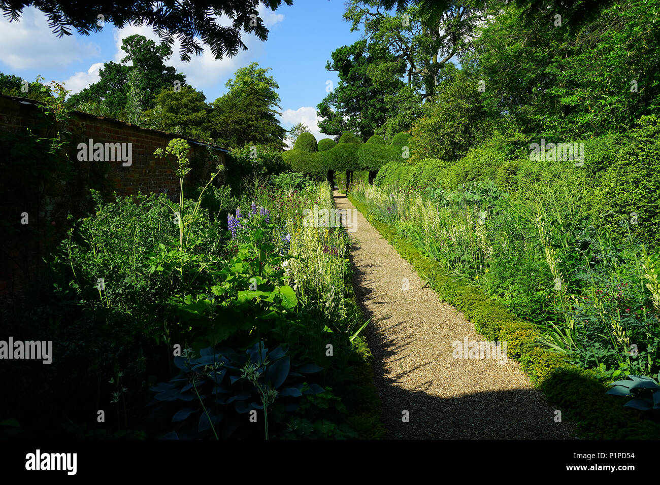 Box topiary hi-res stock photography and images - Alamy