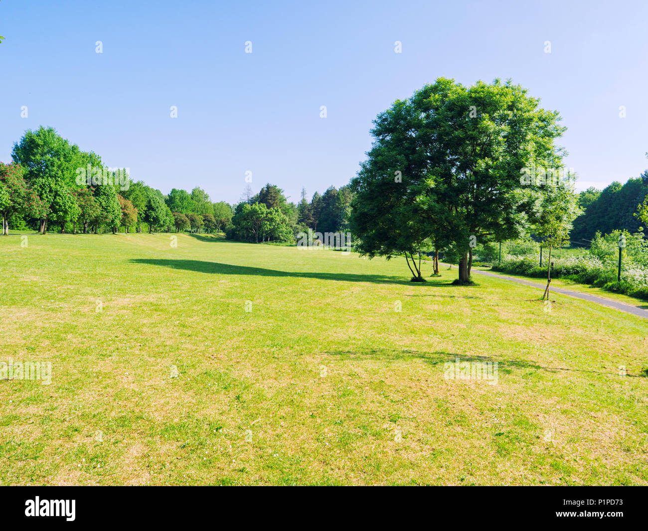 Sunny spring countryside,Northern Ireland Stock Photo - Alamy