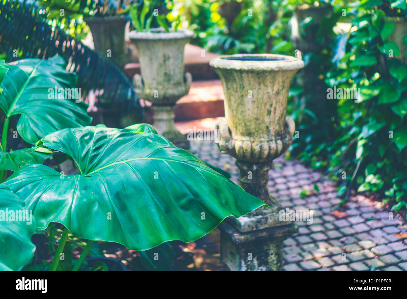 decoration living room interior style green eco environmental with ...