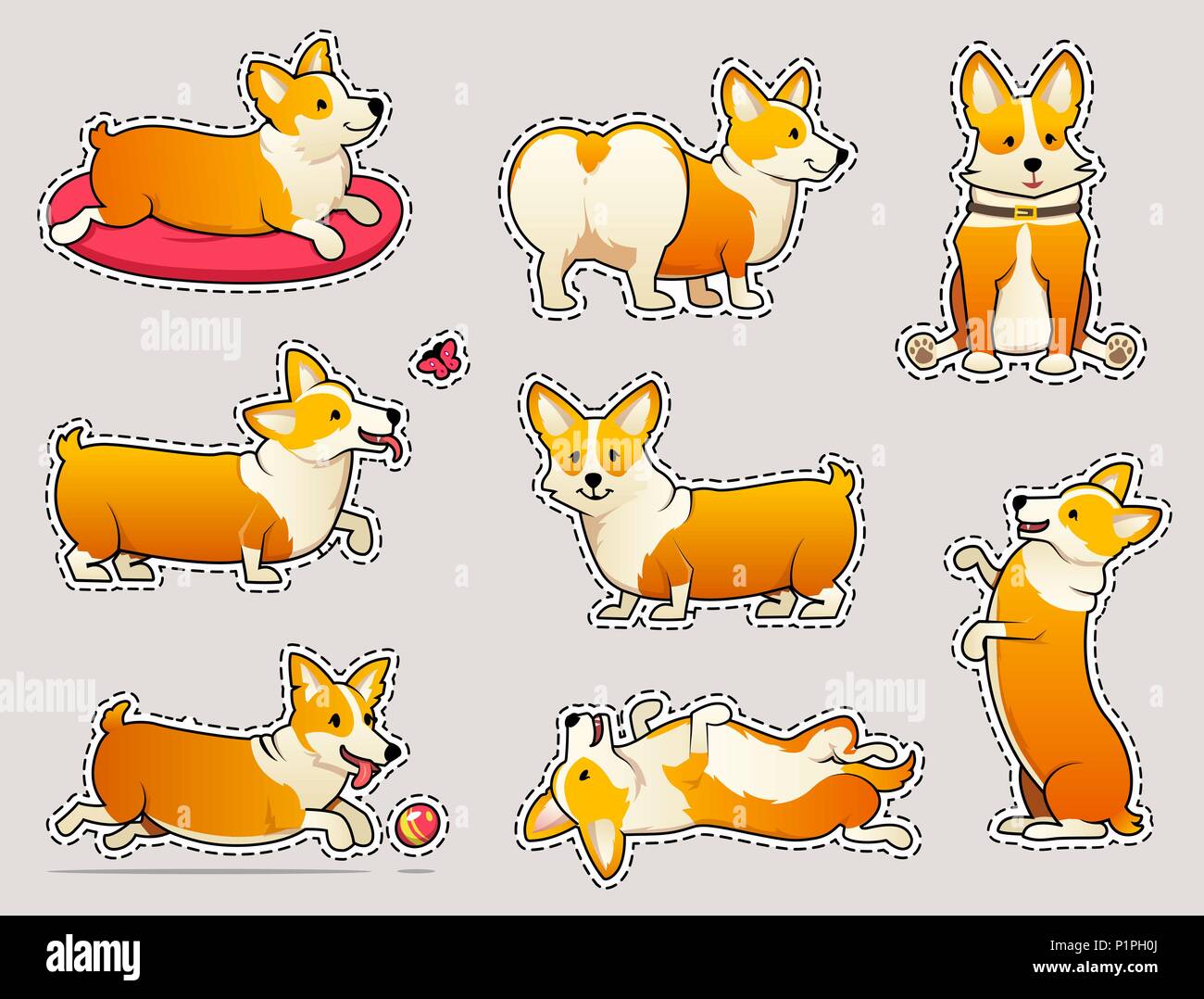 Set of cute dogs breed Welsh Corgi Pembroke on white background ...