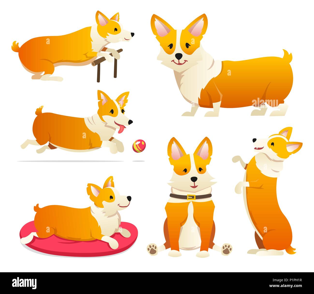 Set of cute dogs breed Welsh Corgi Pembroke on white background. A ...