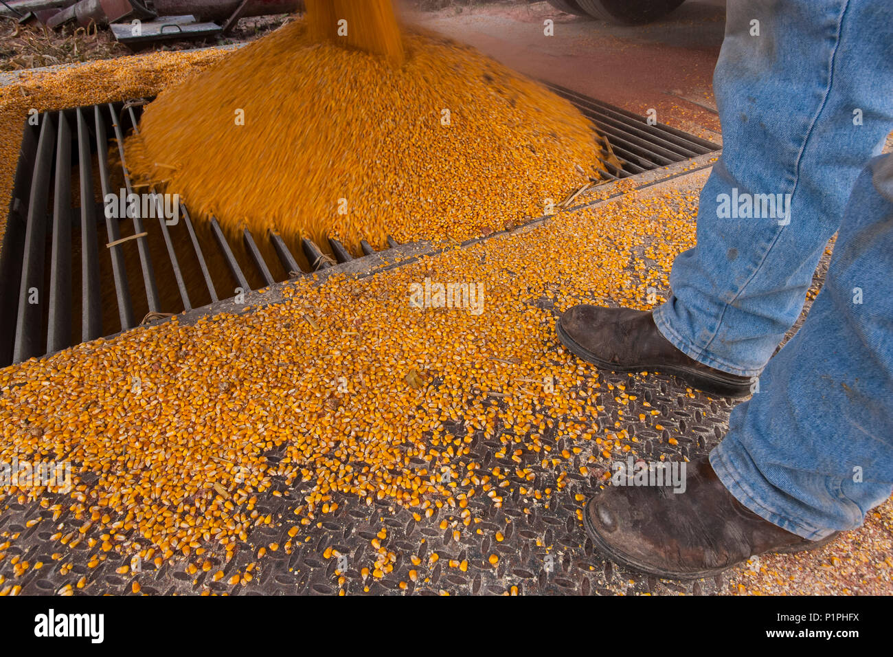 Receiving grate hi-res stock photography and images - Alamy