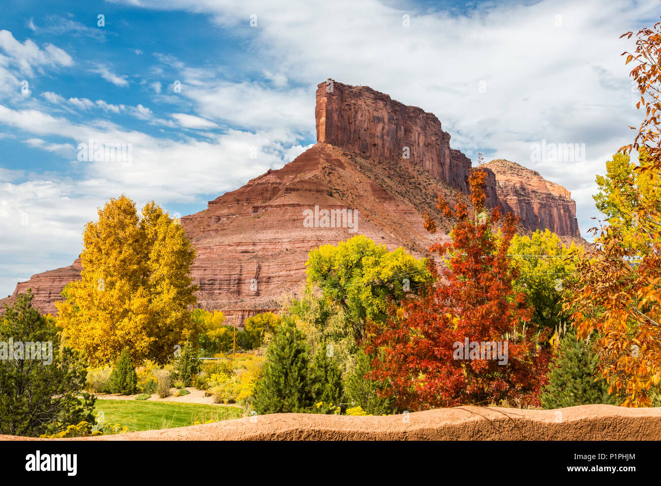 Foliage cloud formation hi-res stock photography and images - Alamy