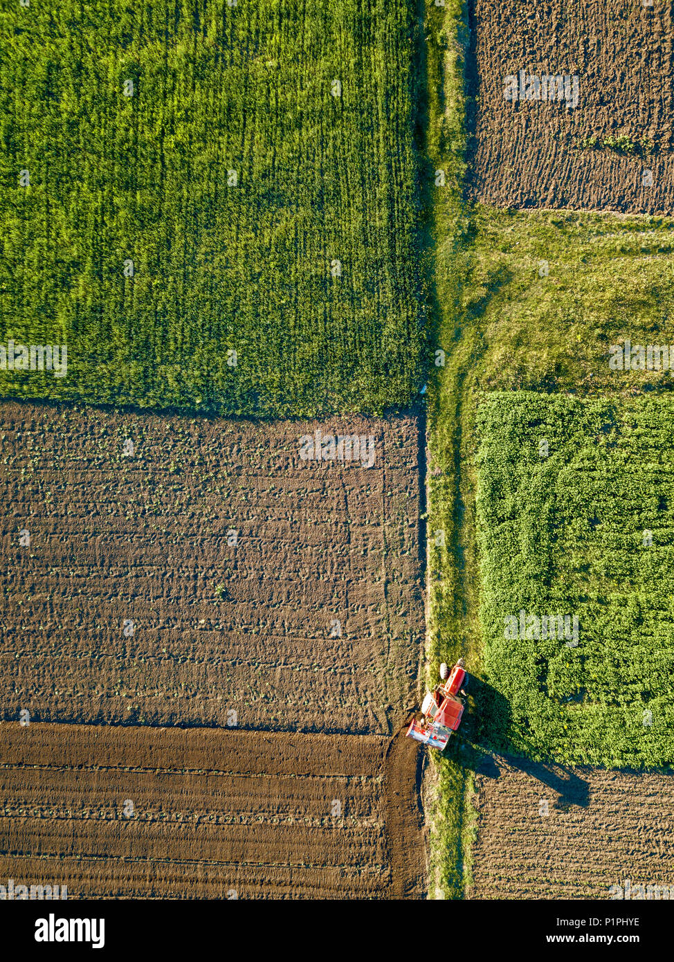 Bird eye view tractor on wheat hi-res stock photography and images - Alamy