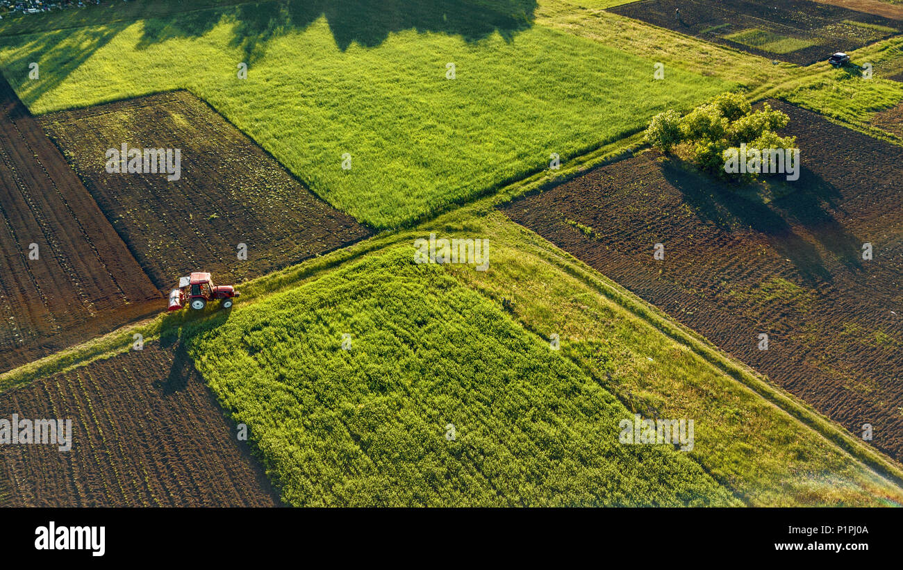 Bird eye view tractor on wheat hi-res stock photography and images - Alamy