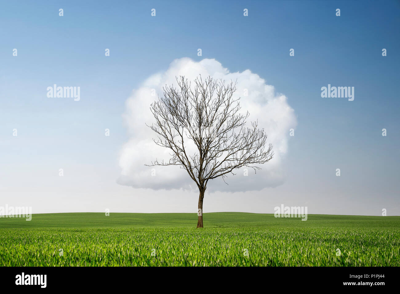 Contamination cloud hi-res stock photography and images - Alamy