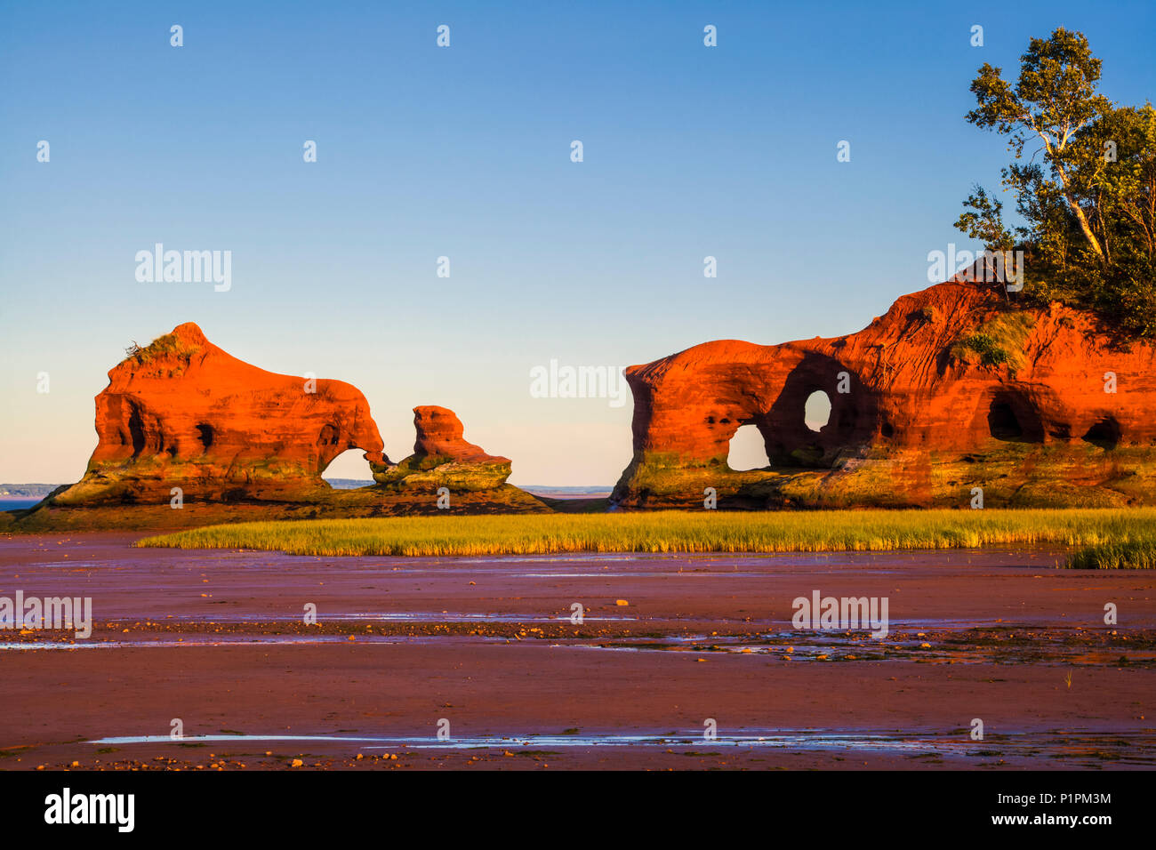Coastal sea stacks hi-res stock photography and images - Alamy
