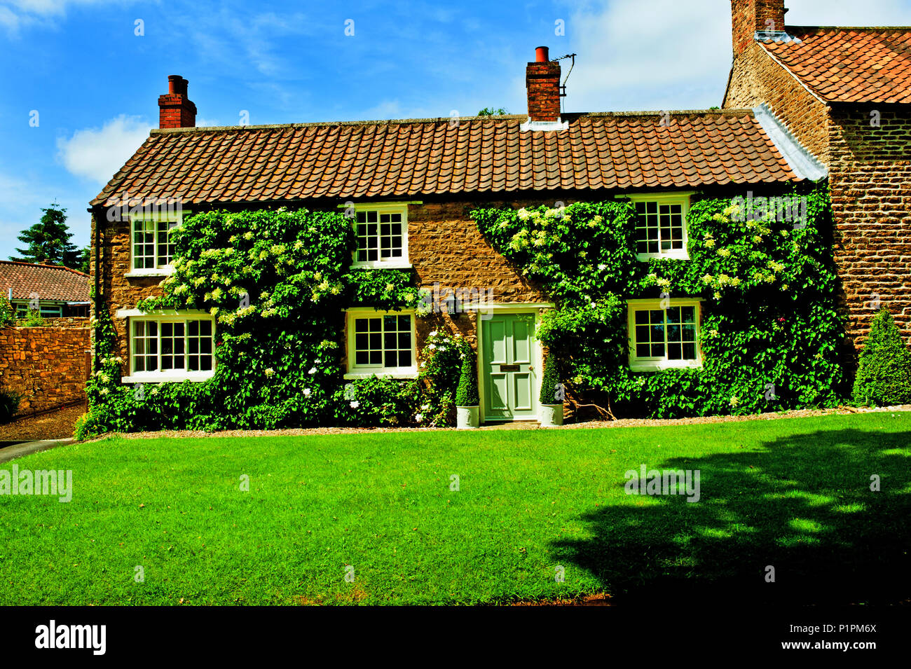 Cottage in Terrington, North Yorkshire, England Stock Photo - Alamy