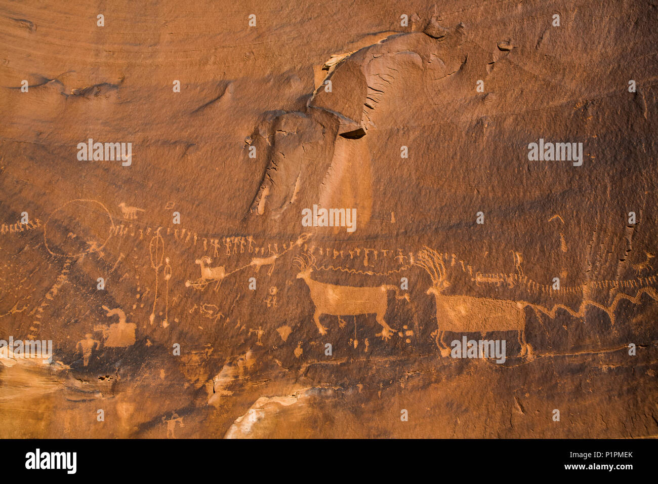 Petrogylph 'Procession Panel', Butler Wash, Shash Jaa National Monument ...