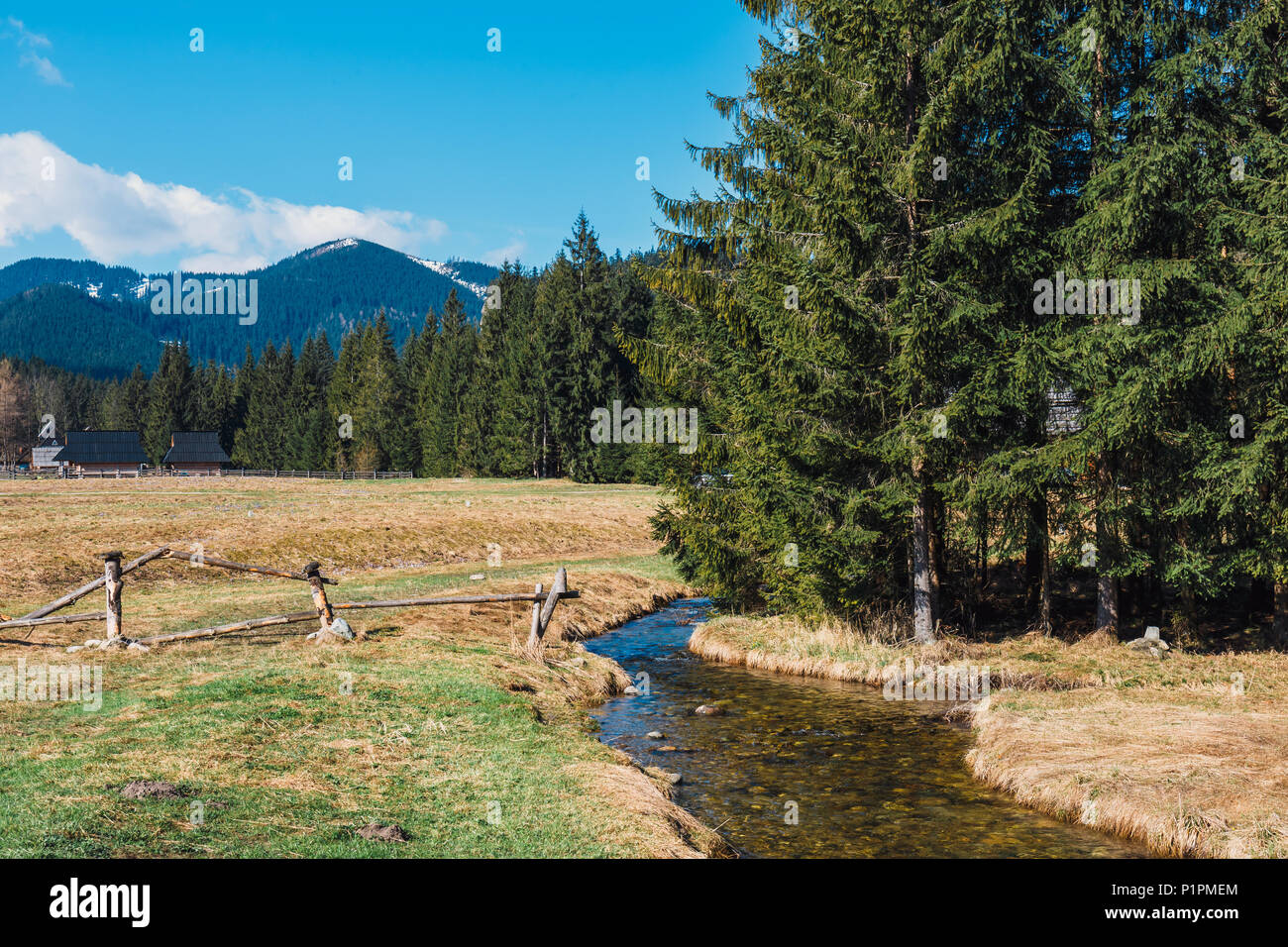 Small river strong stream flowing hi-res stock photography and images ...