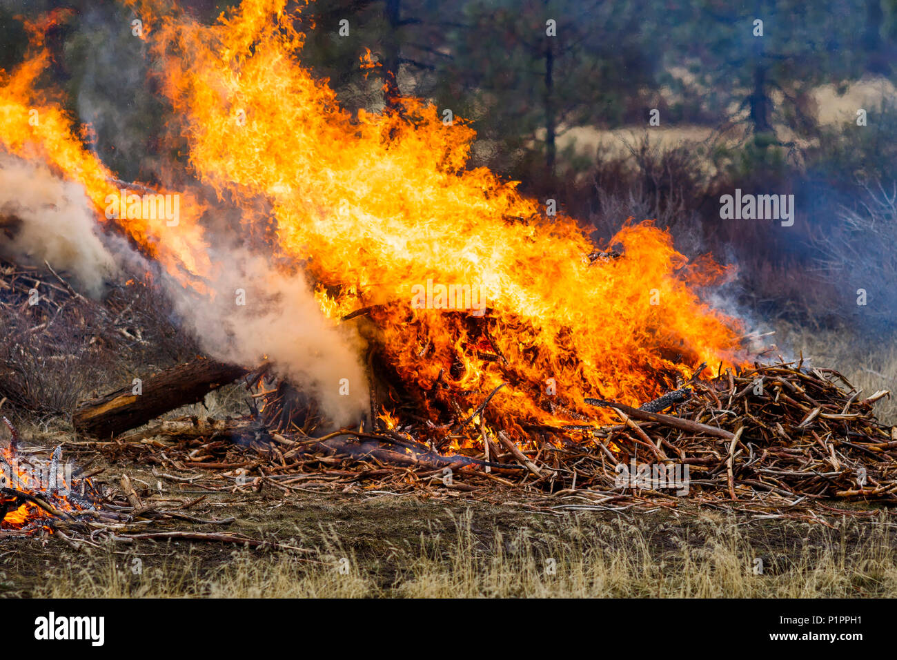 Burn pile hi-res stock photography and images - Alamy