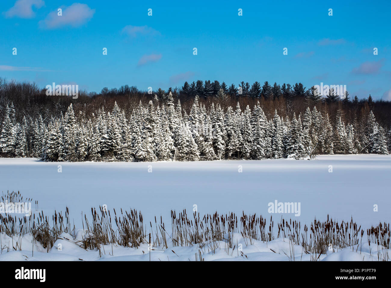 Snow covered field under hi-res stock photography and images - Alamy