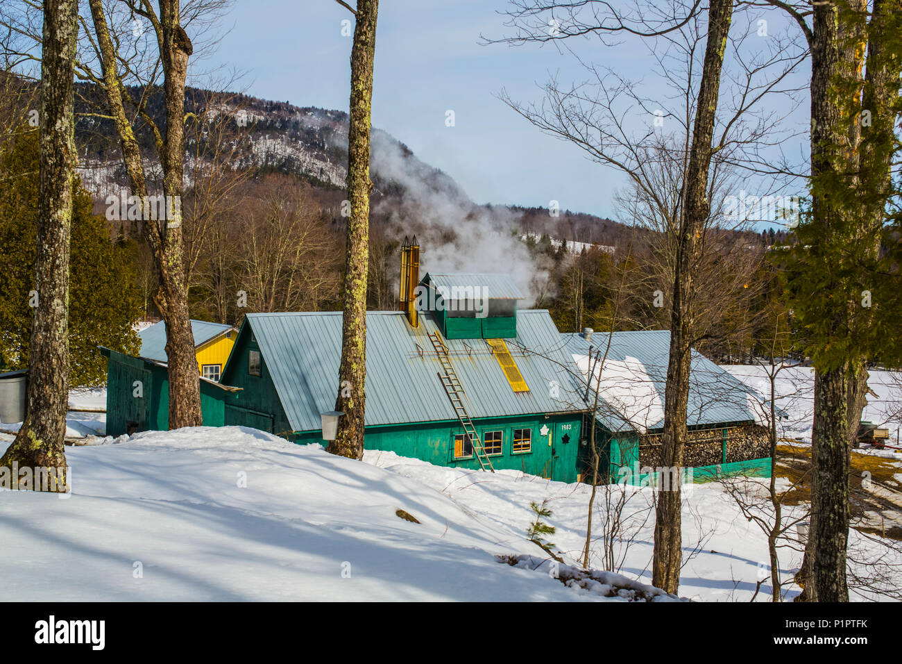 Steam billows from the top of a building in a rural area in winter ...