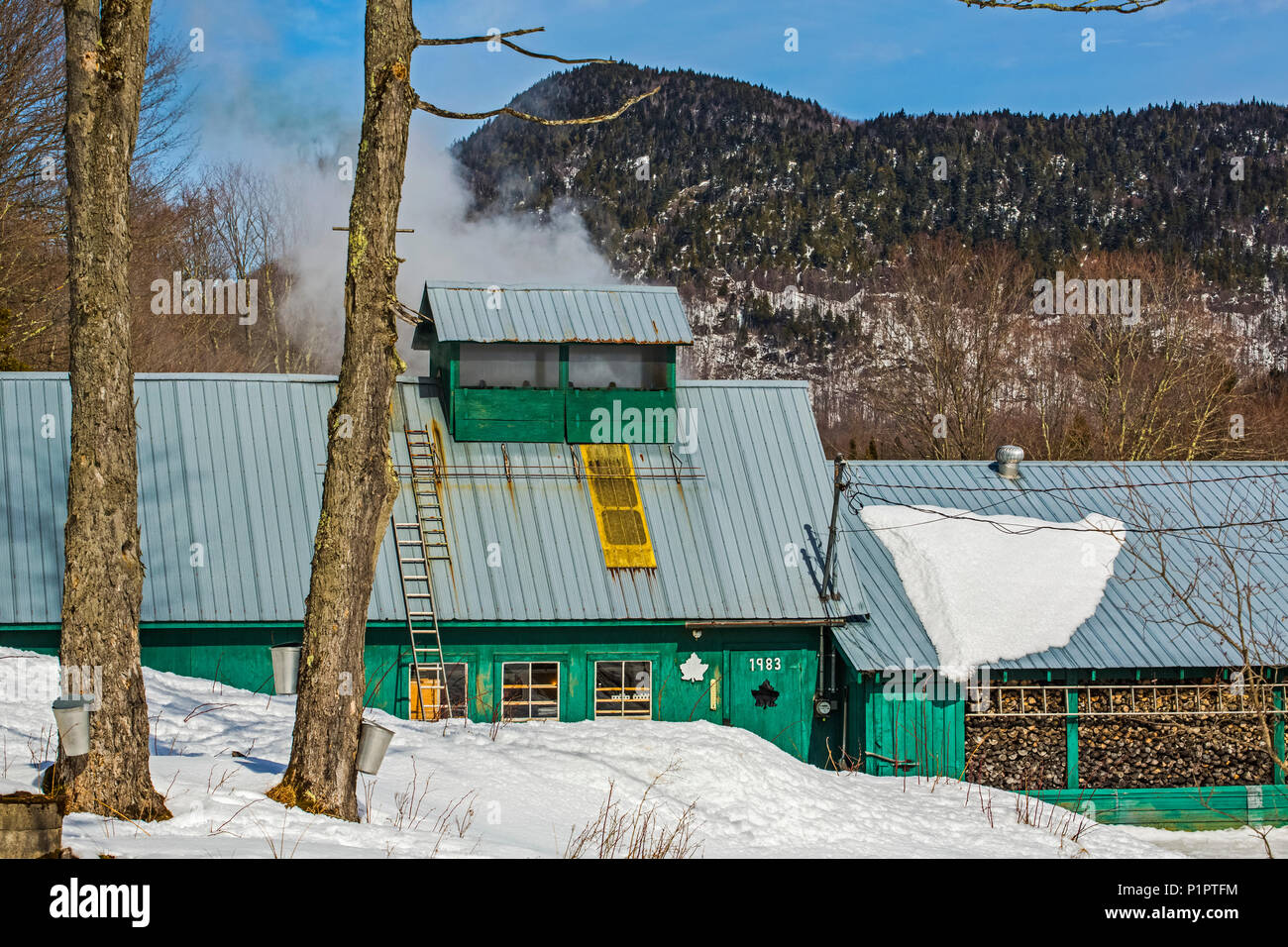 Steam billows from the top of a building in a rural area in winter ...
