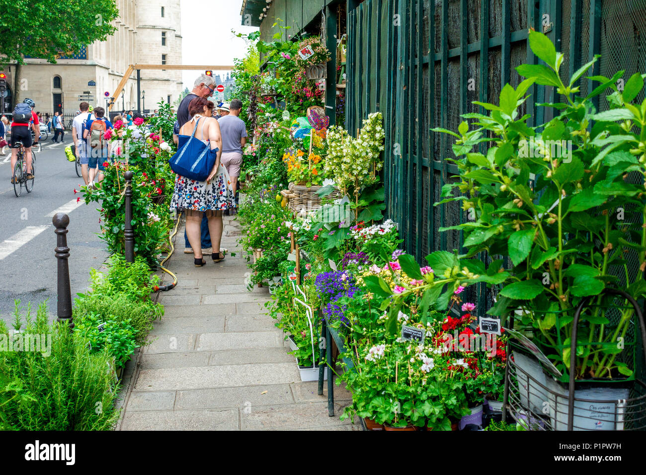 Paris' famous flower market Stock Photo - Alamy