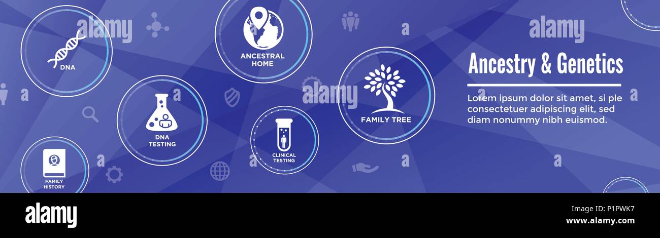 Family tree geneology Stock Vector Images - Alamy