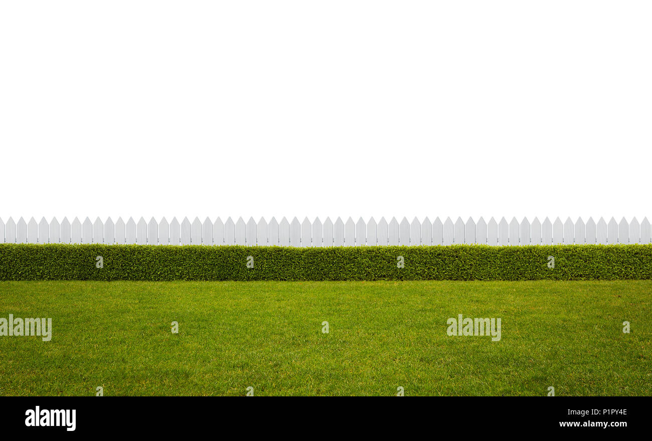 Empty backyard isolated on white background with copy space Stock Photo ...