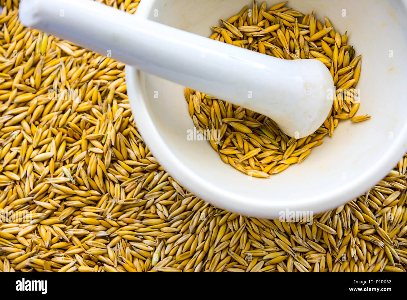 oats in mortar, crushing grain, wheat, rye, for spring sowing, healthy ...