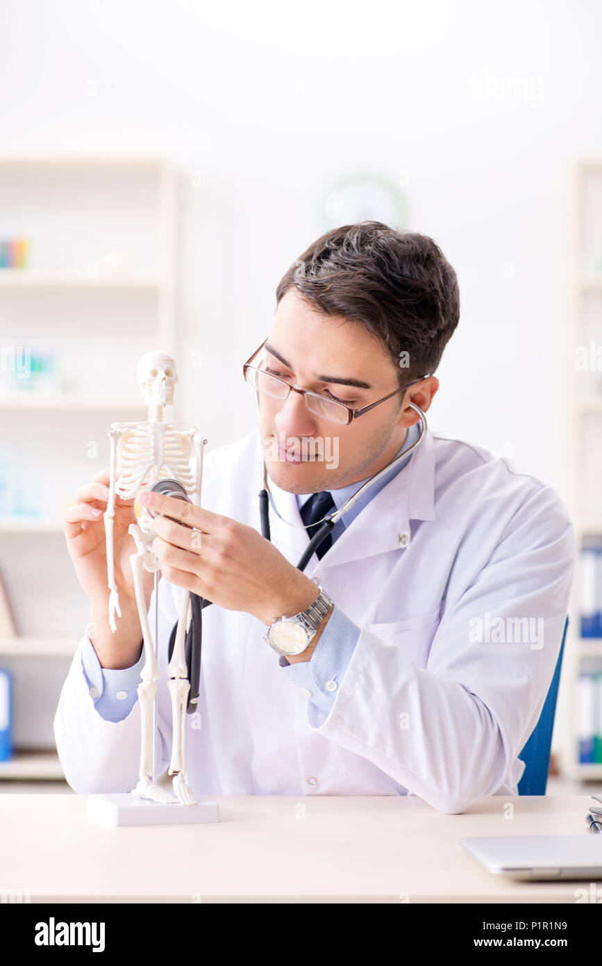 Doctor explaining human body on skeleton Stock Photo - Alamy