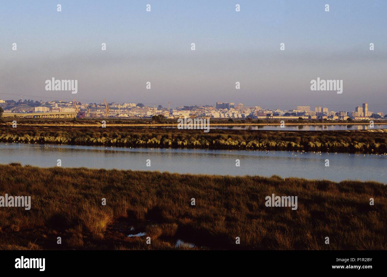 swamps at the Odiel river and city at the back Stock Photo - Alamy
