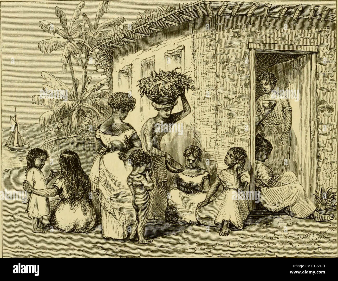 "Brazil, the Amazons and the coast" (1879 Stock Photo - Alamy