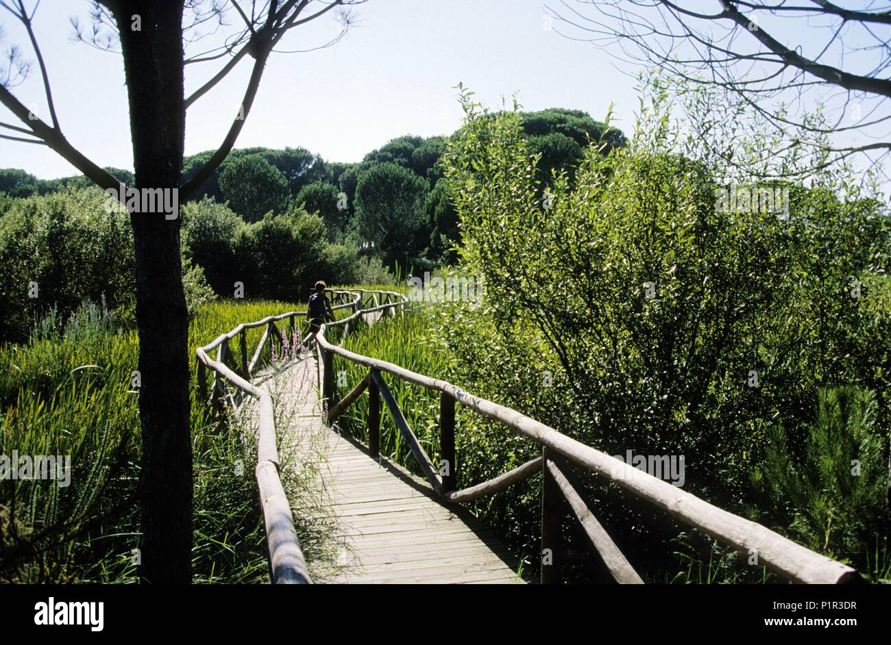 Parque Nacional de / Doñana National Park; "La Rocina" place Stock ...