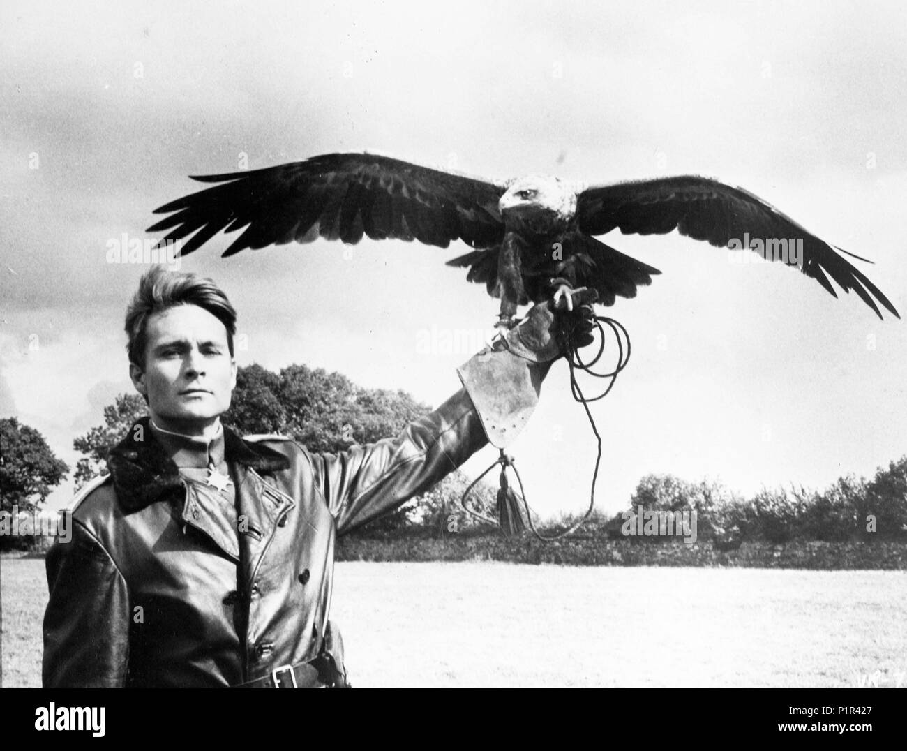Original Film Title: THE RED BARON. English Title: THE RED BARON. Film ...