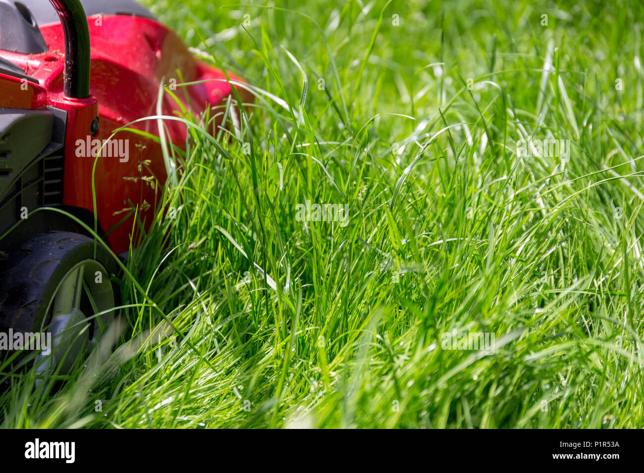 Motorized grass cutter hi-res stock photography and images - Alamy