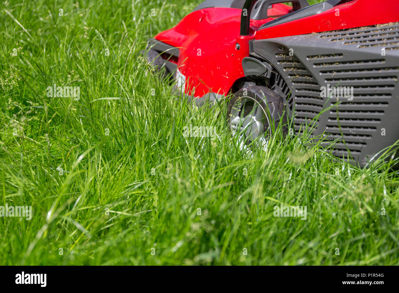 Lawn long grass hi-res stock photography and images - Alamy