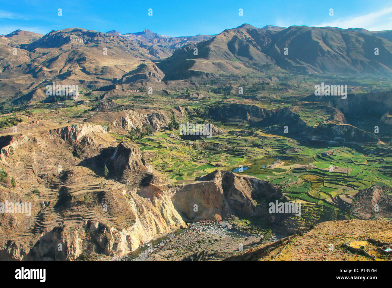 Stepped terraces in Colca Canyon in Peru. It is one of the deepest ...