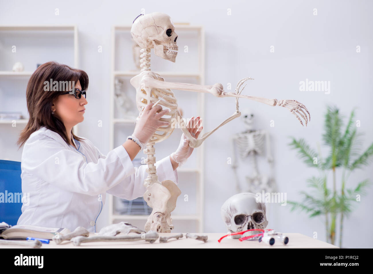 Doctor working in the lab on skeleton Stock Photo - Alamy