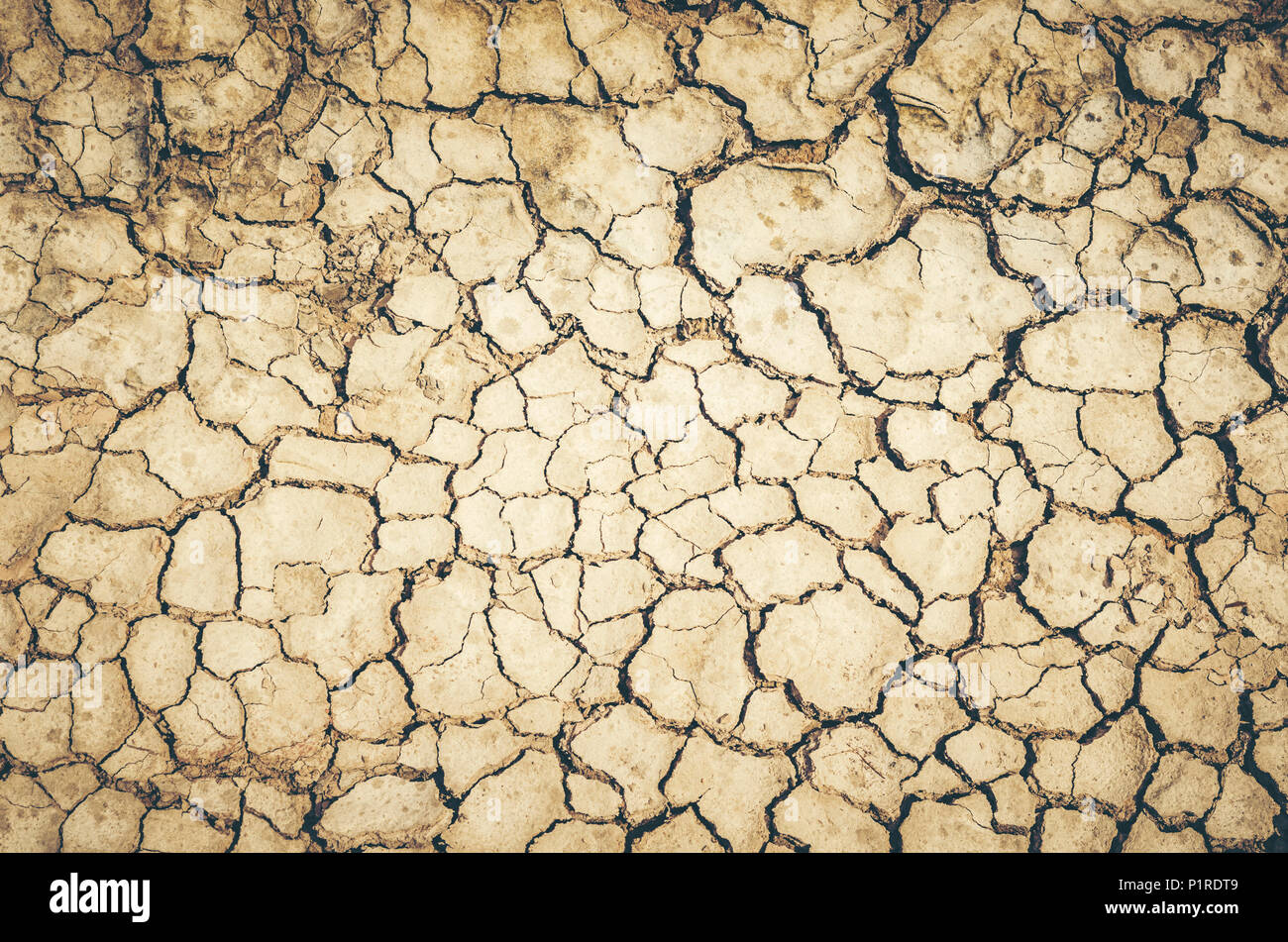 Dry cracked earth background, clay desert texture Stock Photo - Alamy
