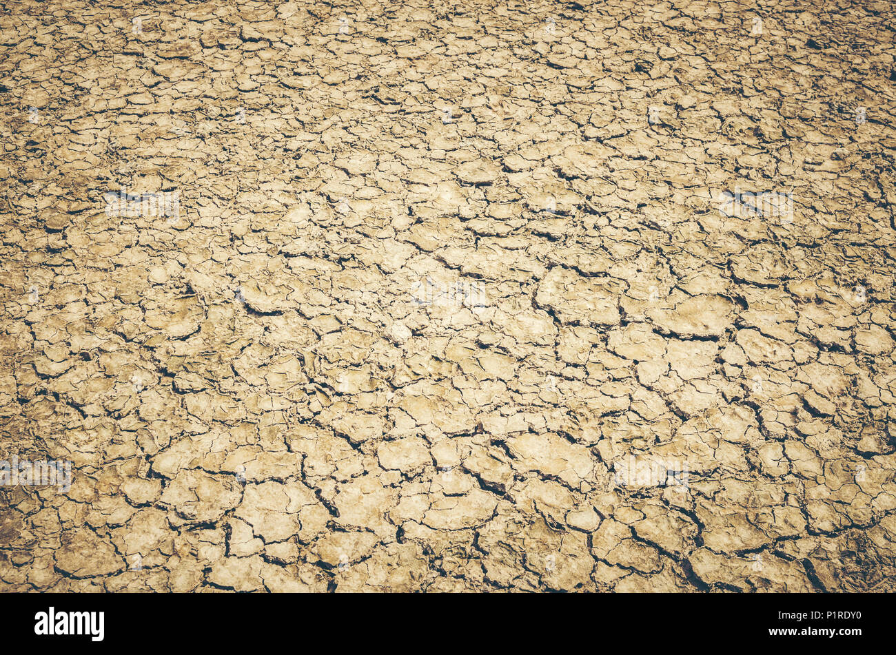 Dry cracked earth background, clay desert texture Stock Photo - Alamy