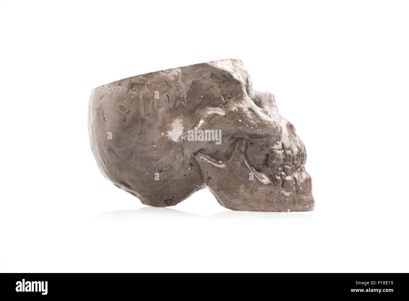Human skull isolated on white background Stock Photo - Alamy