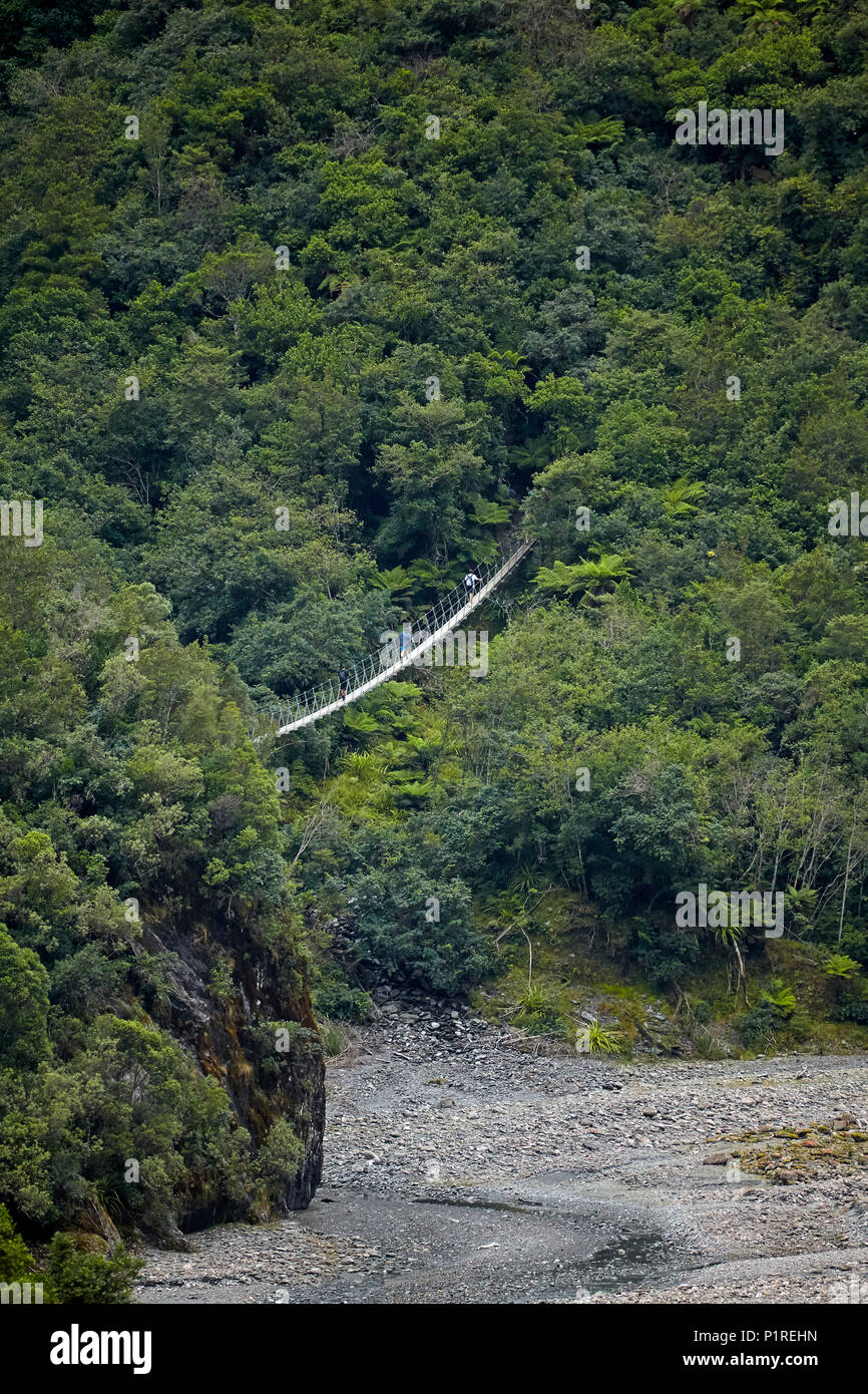 Wire suspension bridge Roberts Point Track, near Franz Joseph Glacier ...