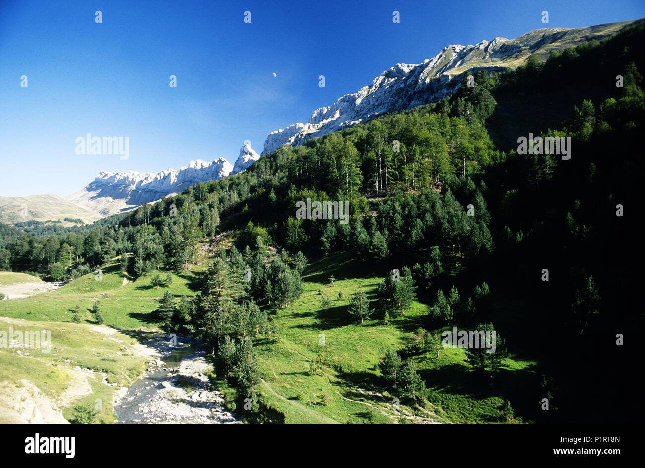 Valle de Ansó valley; Los Alanos place (Pyrenees Stock Photo - Alamy