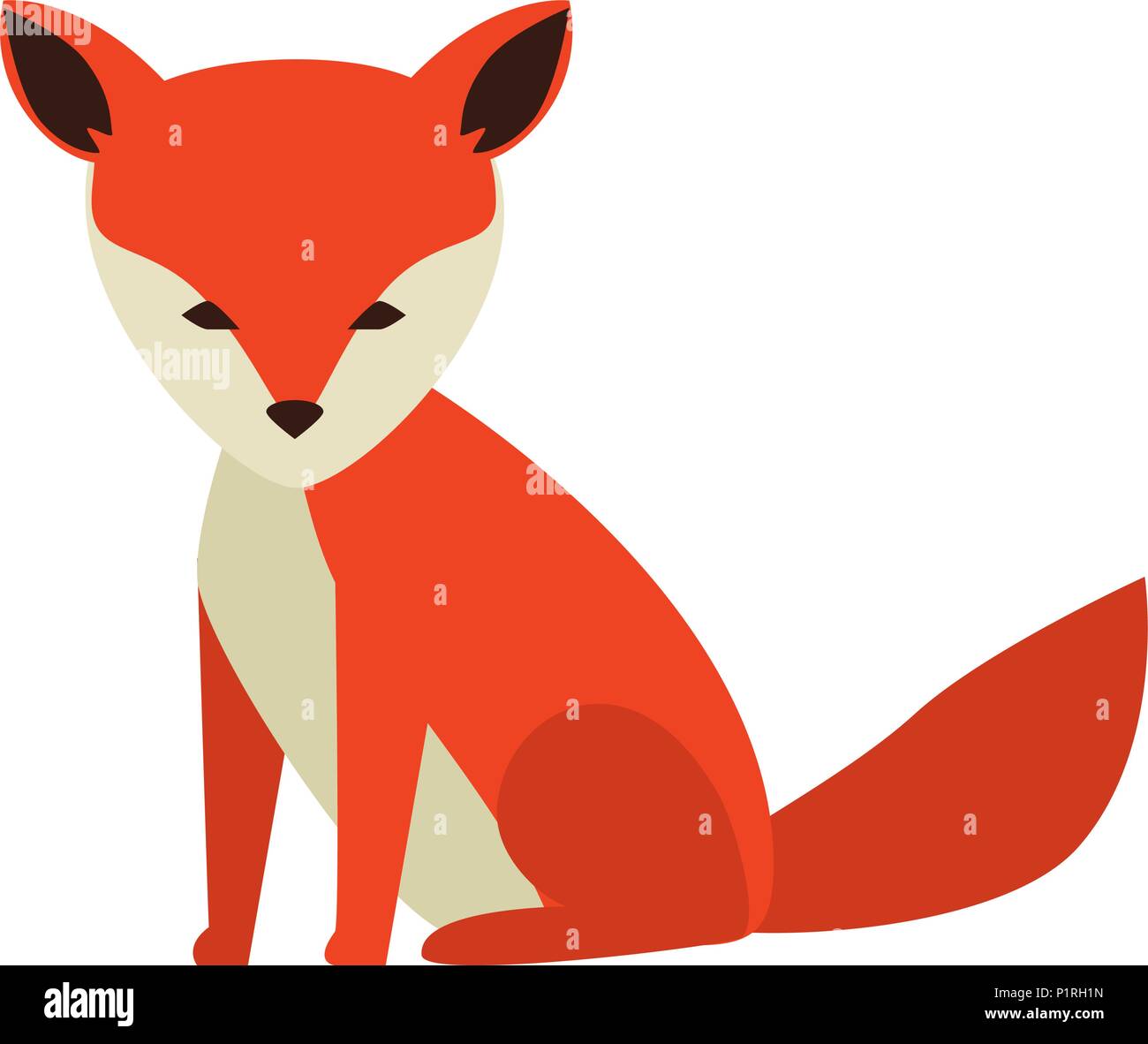 wild canadian fox animal vector illustration design Stock Vector Image ...