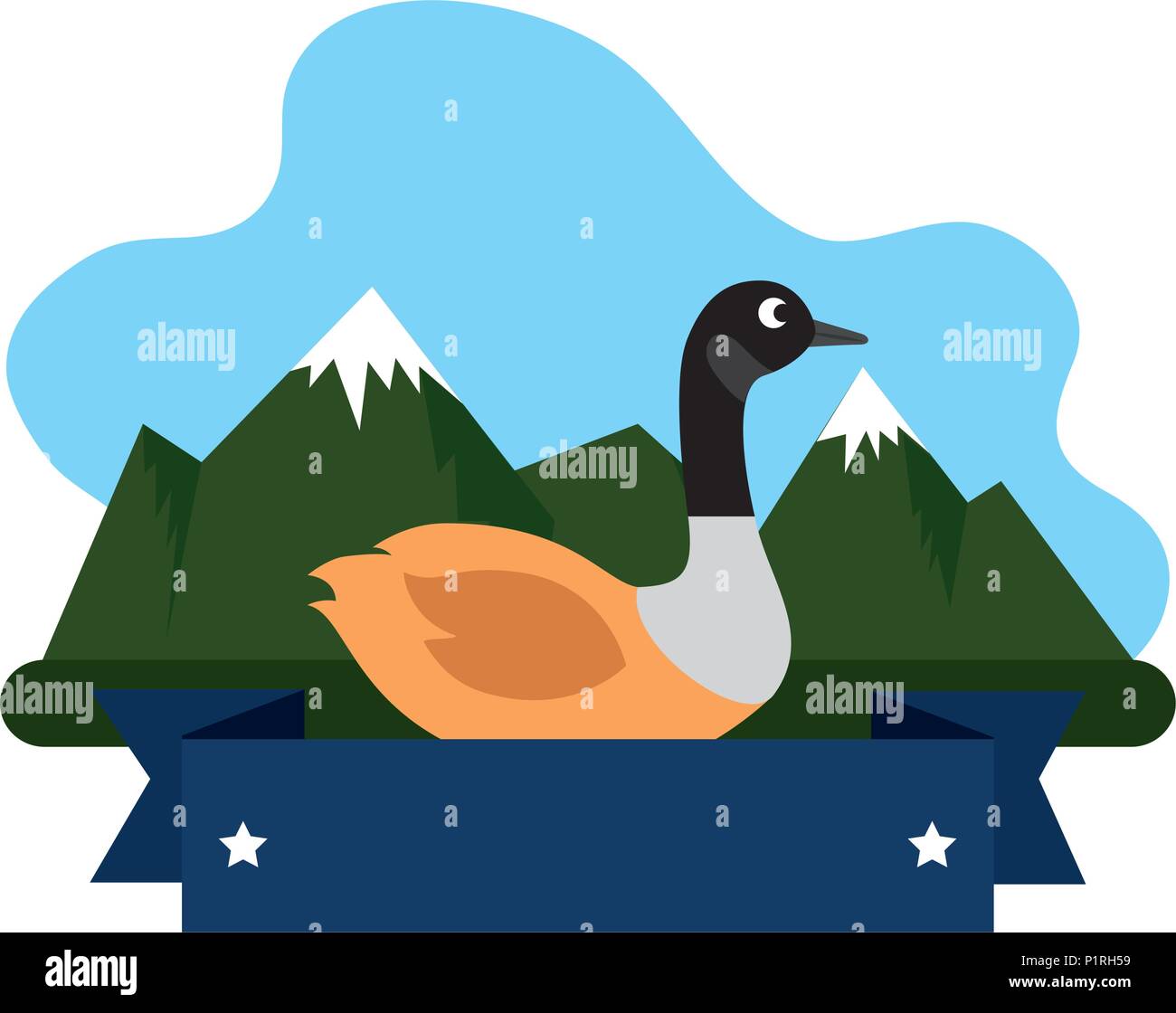 wild canadian duck in the landscape vector illustration design Stock ...
