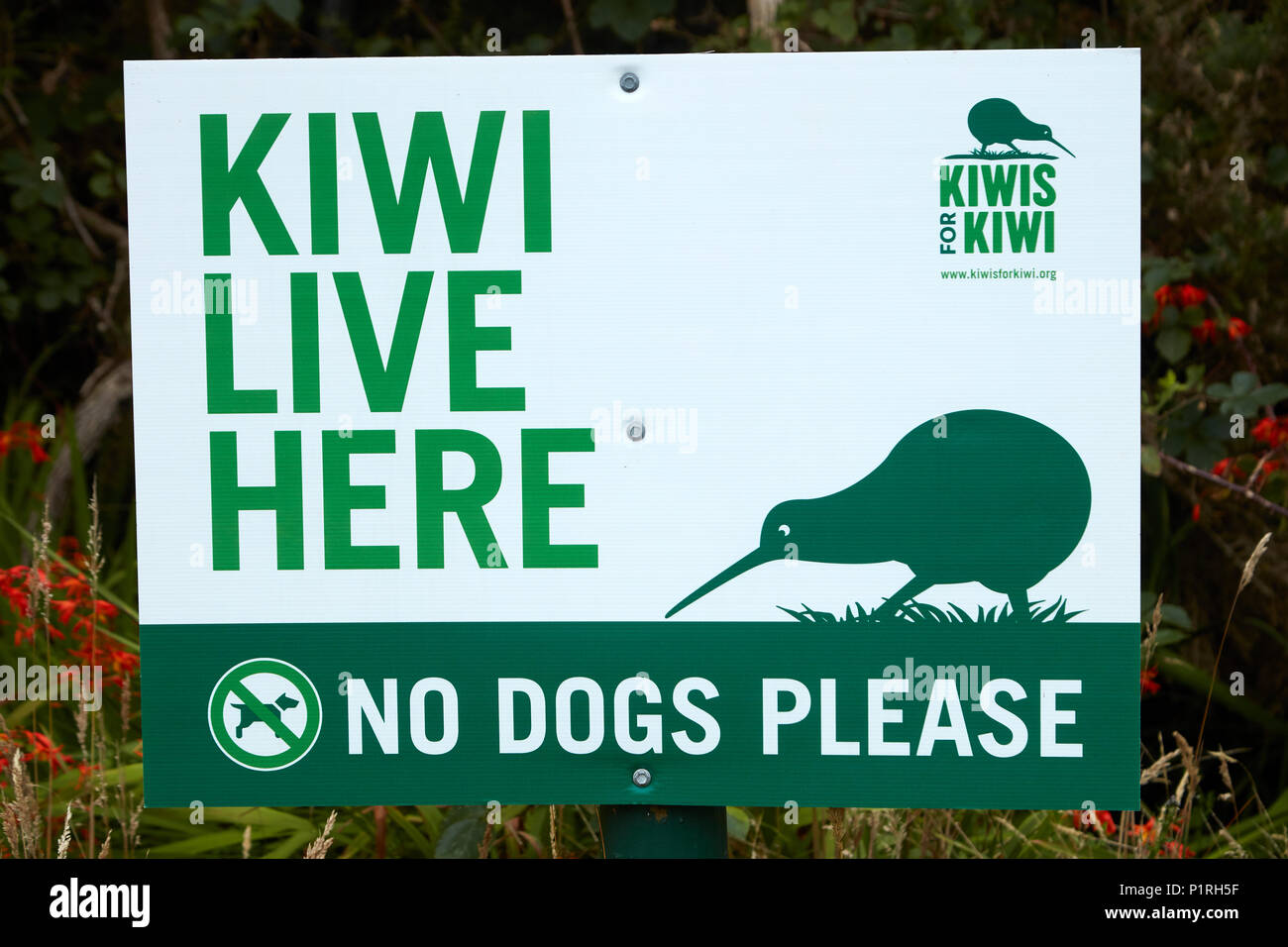 Kiwi warning sign, Okarito, West Coast, South Island, New Zealand Stock ...