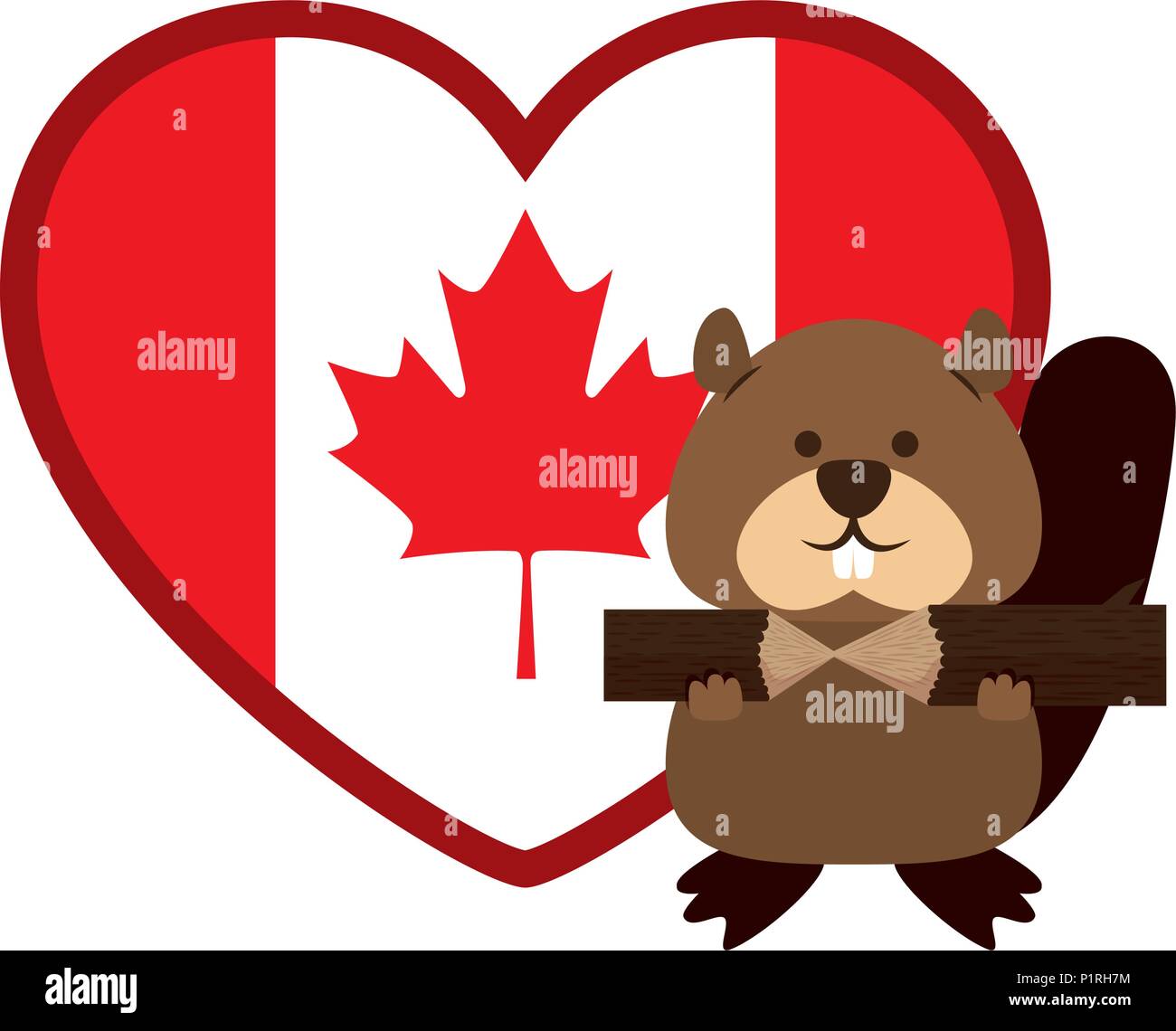cute canadian marmot with heart vector illustration design Stock Vector ...