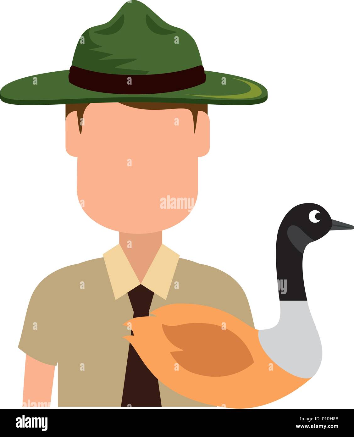 Canadian duck Stock Vector Images - Alamy