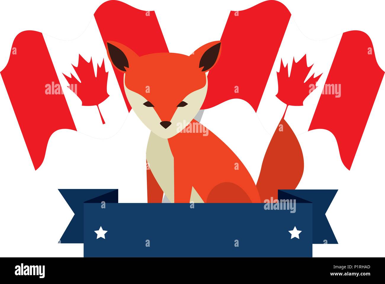 wild canadian fox with flags vector illustration design Stock Vector ...