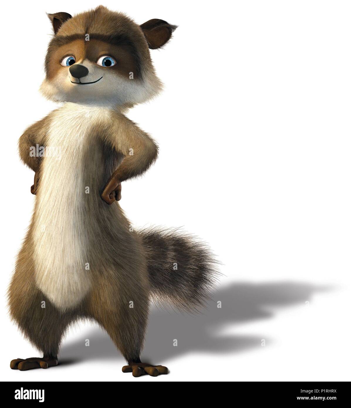 Over the hedge 2006 Cut Out Stock Images & Pictures - Alamy