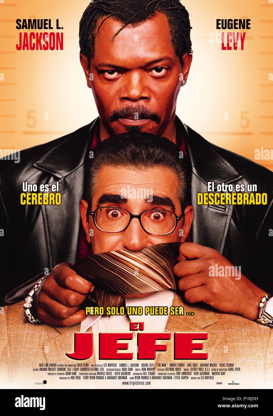 Original Film Title: THE MAN. English Title: THE MAN. Film Director ...