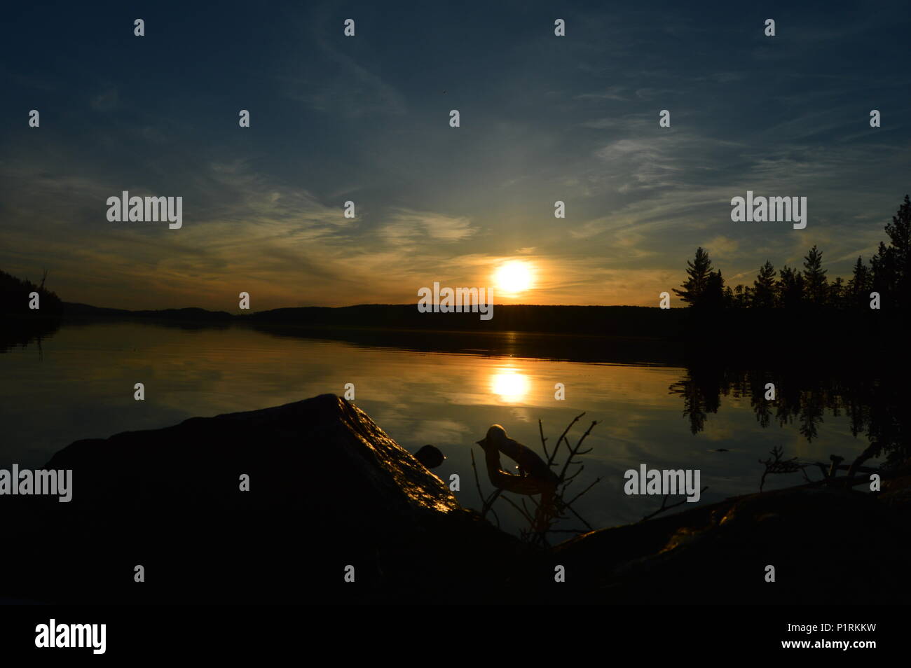 Ever growing hi-res stock photography and images - Alamy